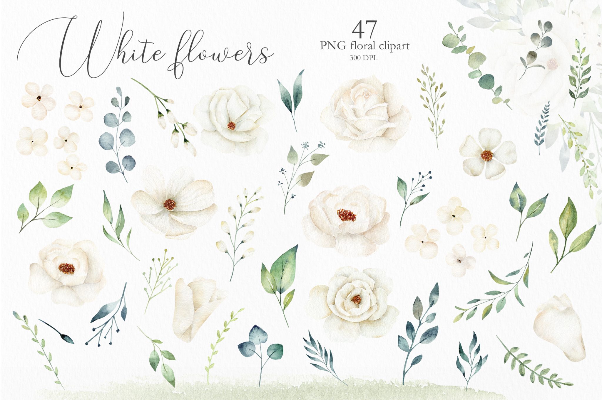 SunRayArt Designs - Watercolor white flowers clipart set.