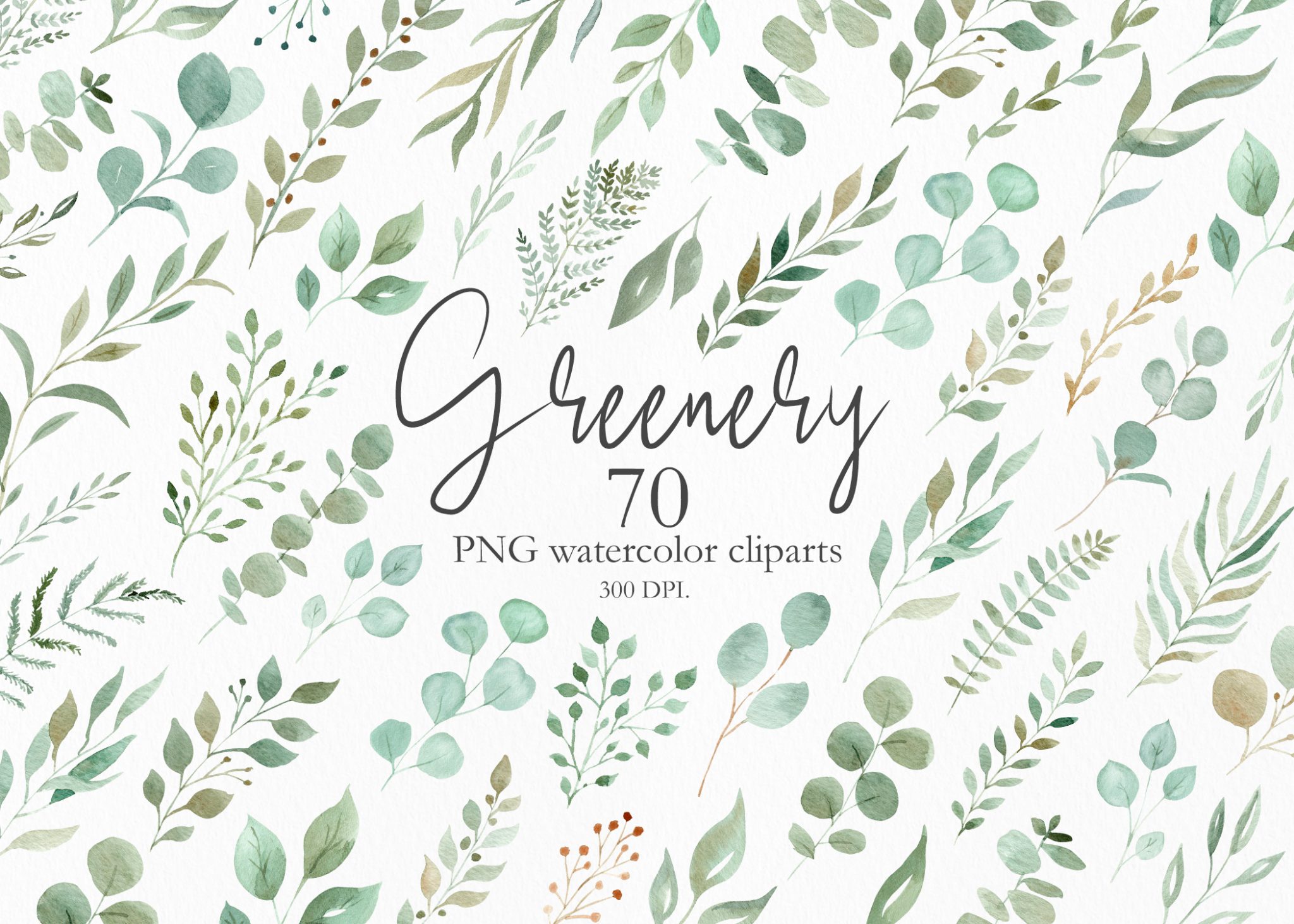 SunRayArt Designs - Watercolor greenery leaf clipart
